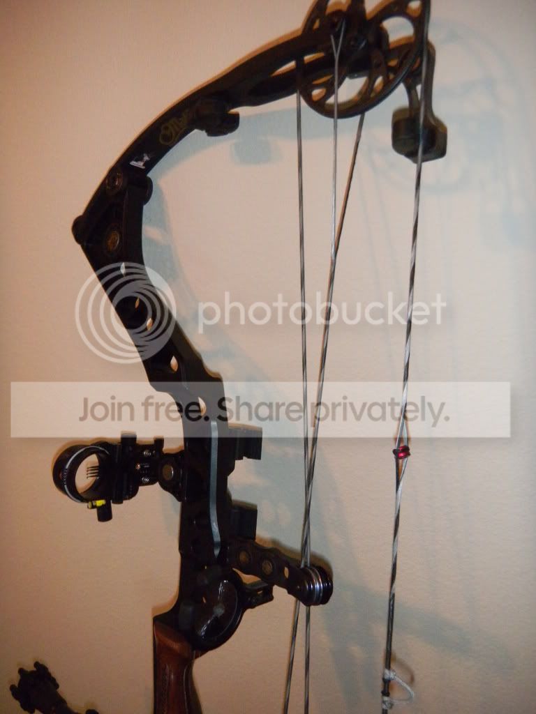 white bow string | Archery Talk Forum