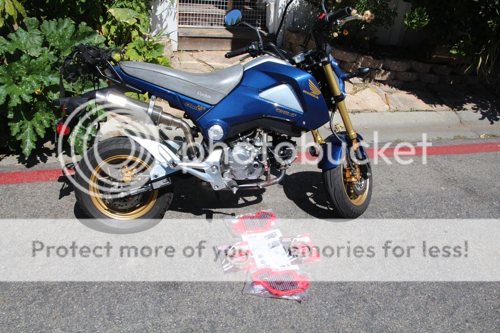 Best Tail Bag?!??! | Honda Grom