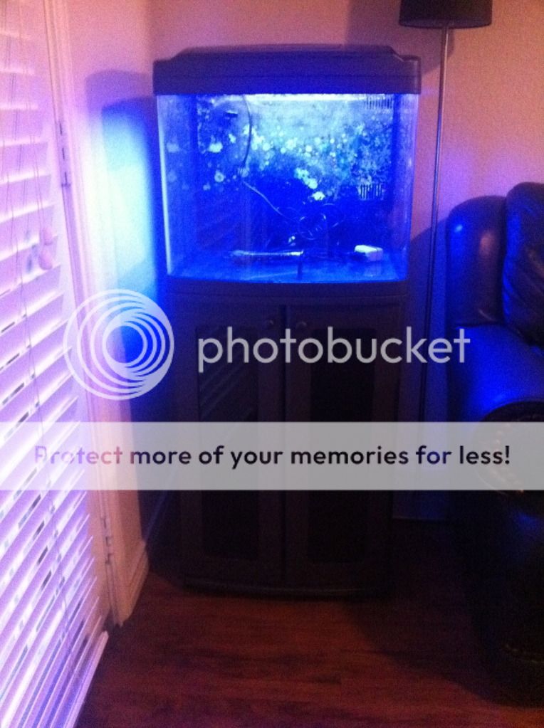 My 29g Biocube Build - Reef Central Online Community